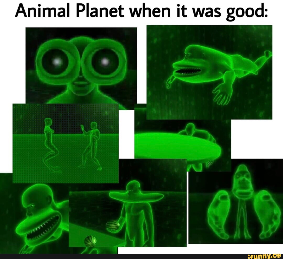 Animal Planet when it was good: - iFunny