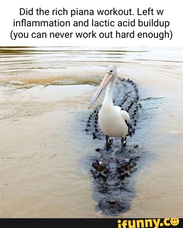 Inflammation memes. Best Collection of funny Inflammation pictures on ...