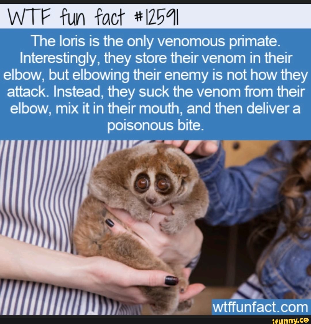 Elbowing memes. Best Collection of funny Elbowing pictures on iFunny