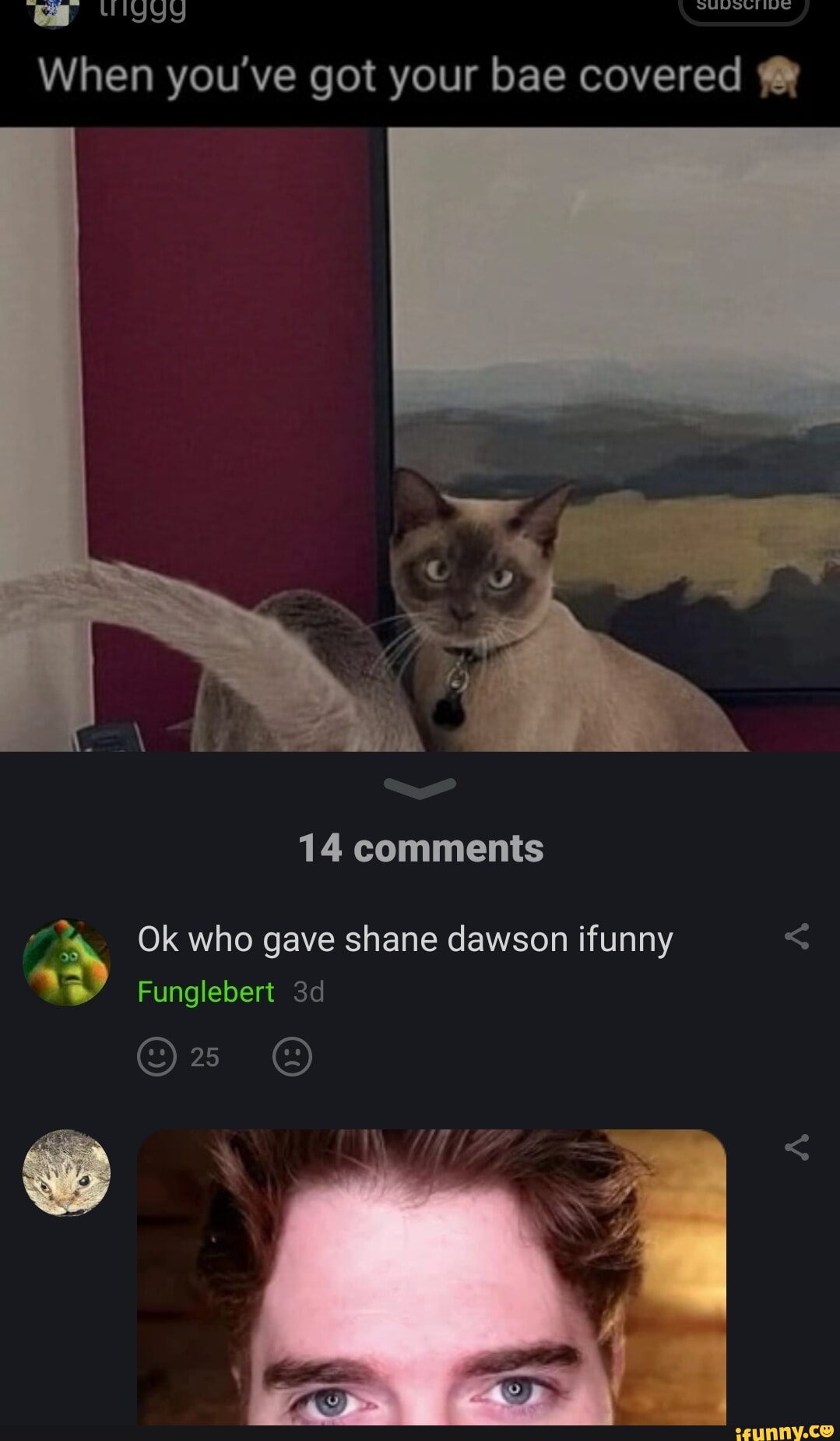 Bae memes. Best Collection of funny Bae pictures on iFunny