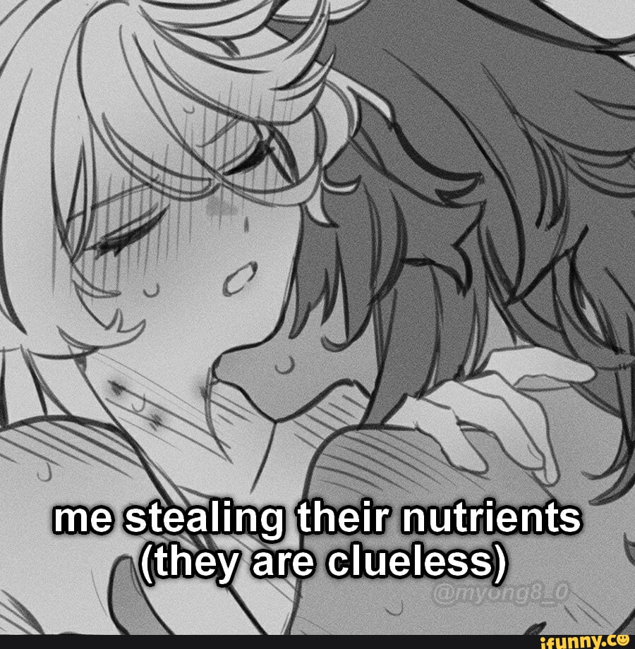 Makeout memes. Best Collection of funny Makeout pictures on iFunny