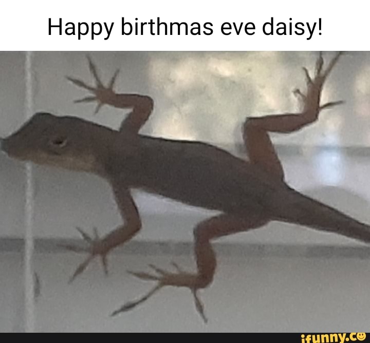 Birthmas memes. Best Collection of funny Birthmas pictures on iFunny