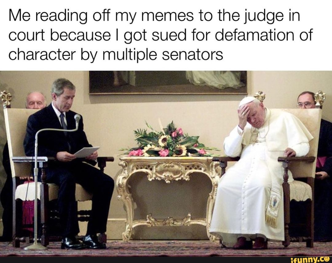 Me reading off my memes to the judge in court because I got sued for ...
