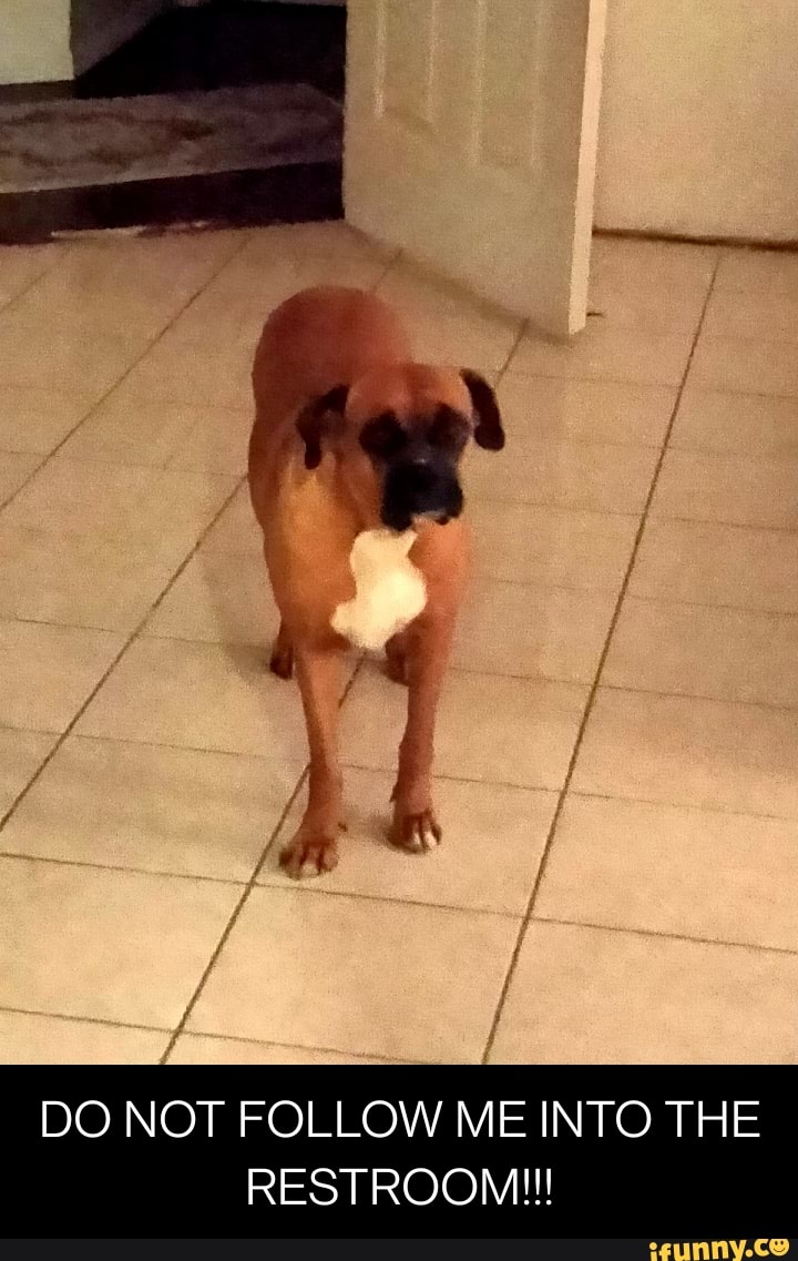 DO NOT FOLLOW ME INTO THE RESTROOM!!! - iFunny