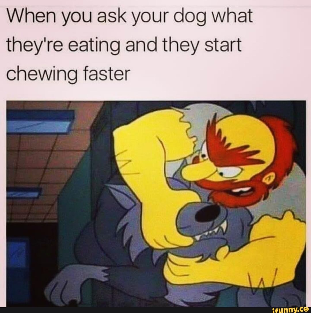 When you ask your dog what they're eating and they start chewing faster ...