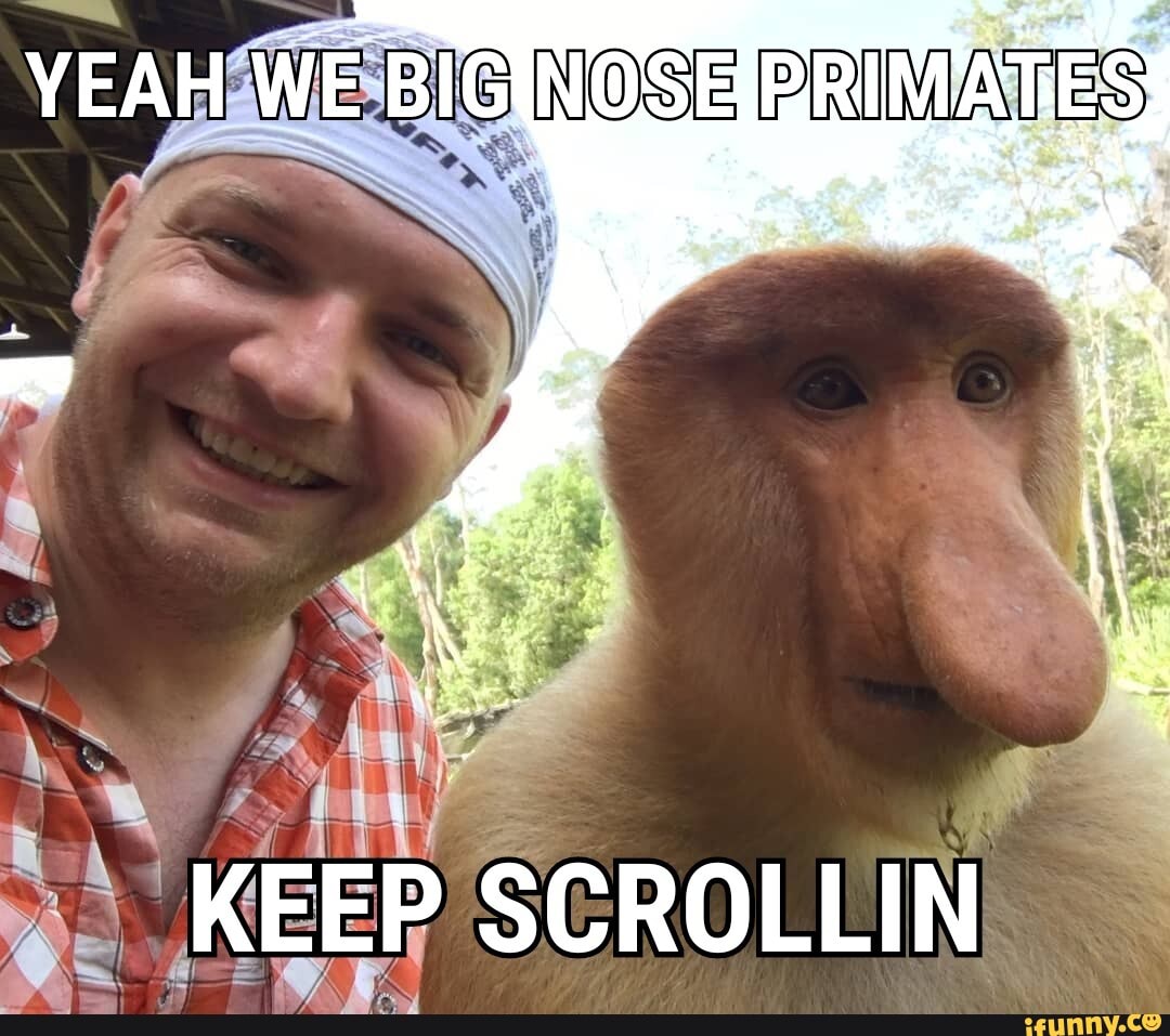 Proboscismonkey memes. Best Collection of funny Proboscismonkey ...