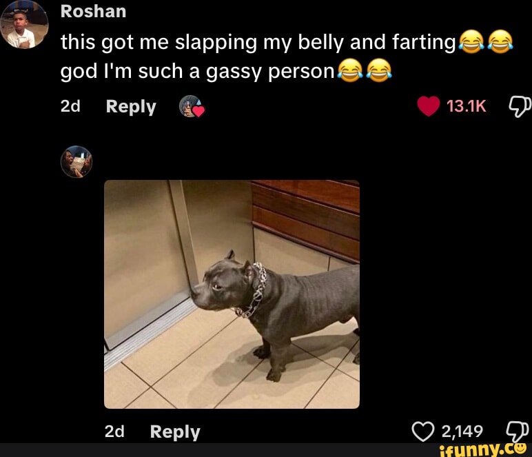 This got me slapping my belly and farting god I'm such a gassy person ...