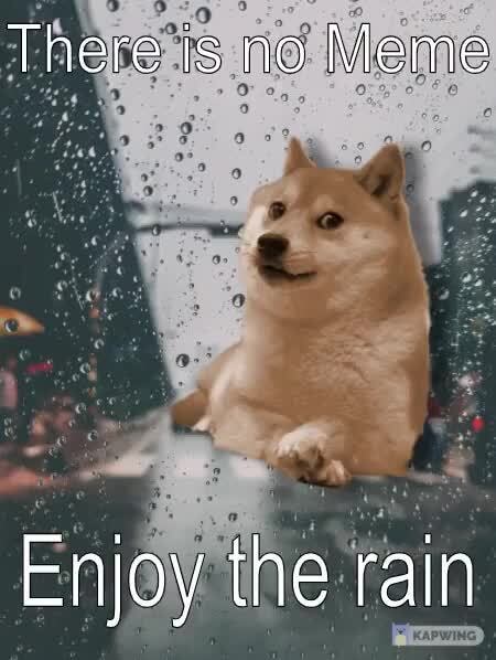 There is no Meme Enjoy the rain - iFunny :)