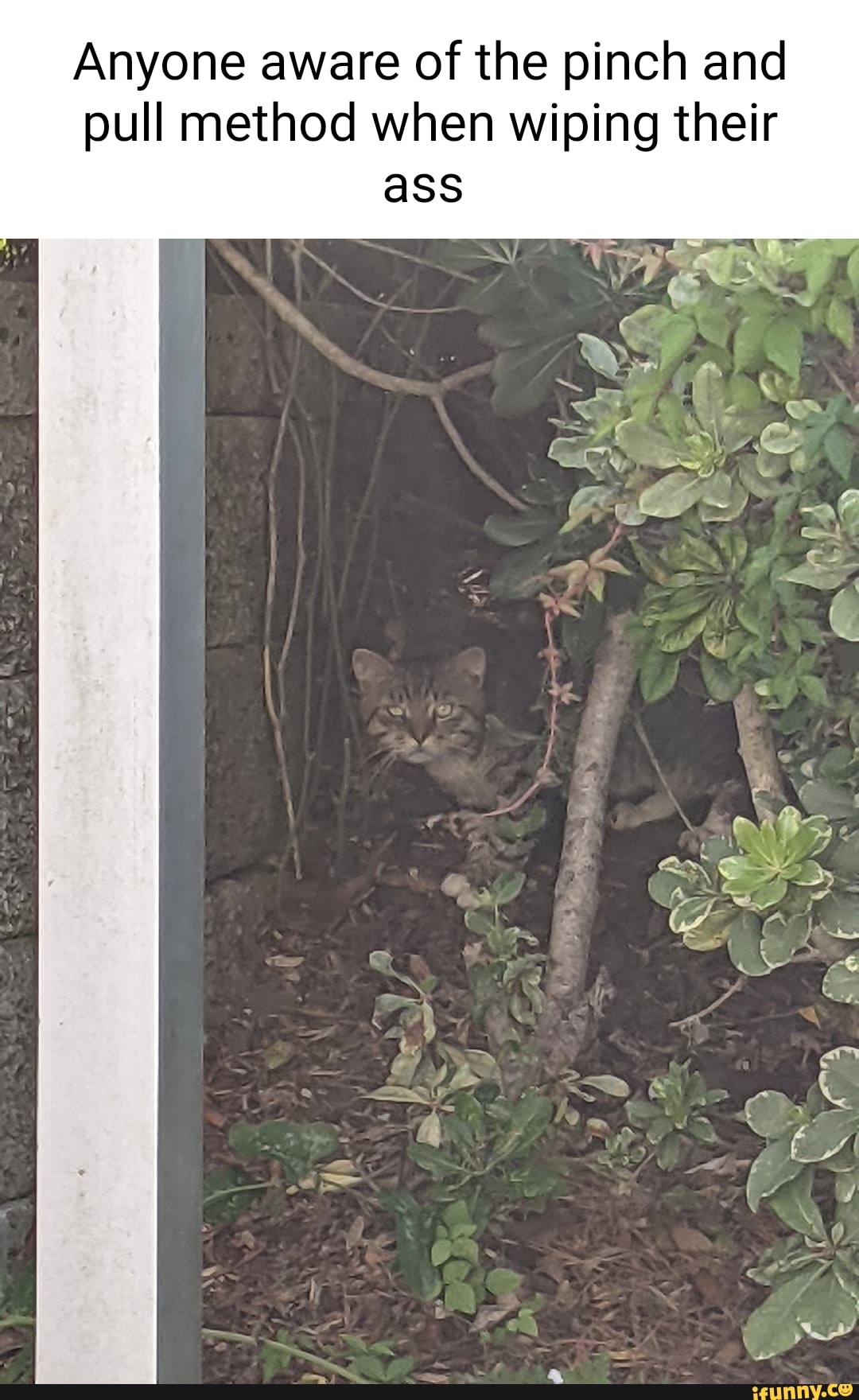 Anyone aware of the pinch and pull method when wiping their aSs I \4 ...