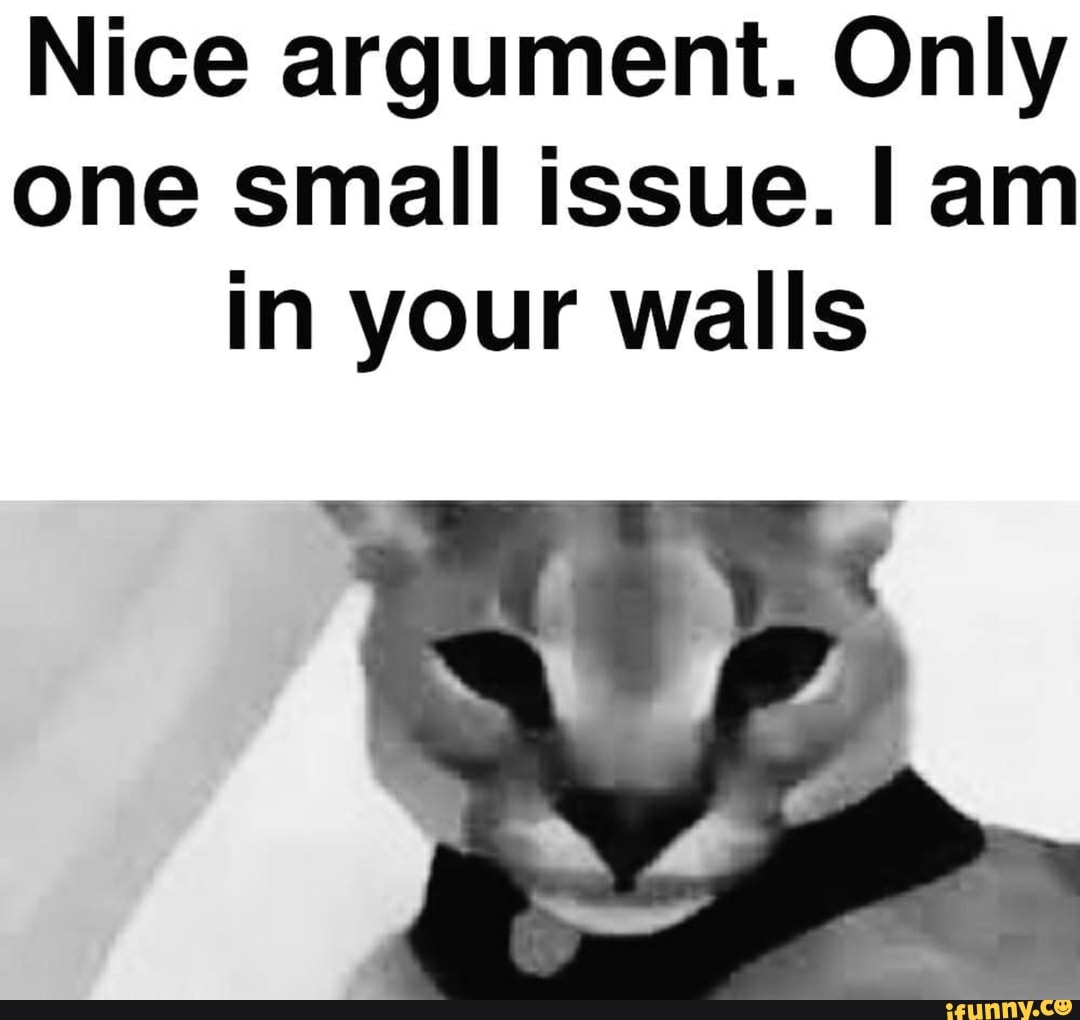Nice argument. Only one small issue. am in your walls - iFunny