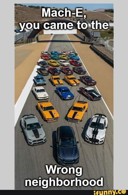 Mach-E, you came to the Wrong neighborhood - iFunny