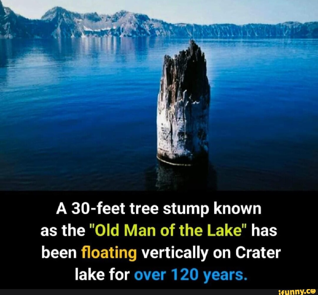 A 30-feet tree stump known as the "Old Man of the Lake" has been ...