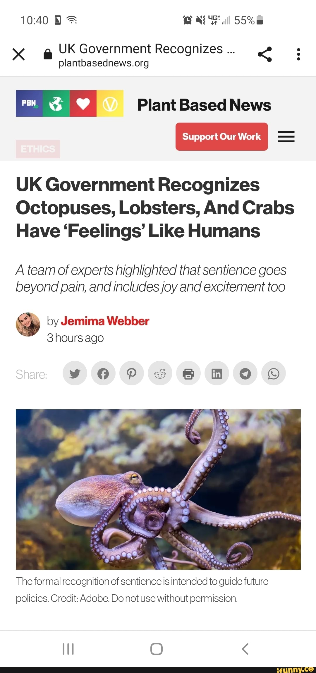 XX UK Government Recognizes