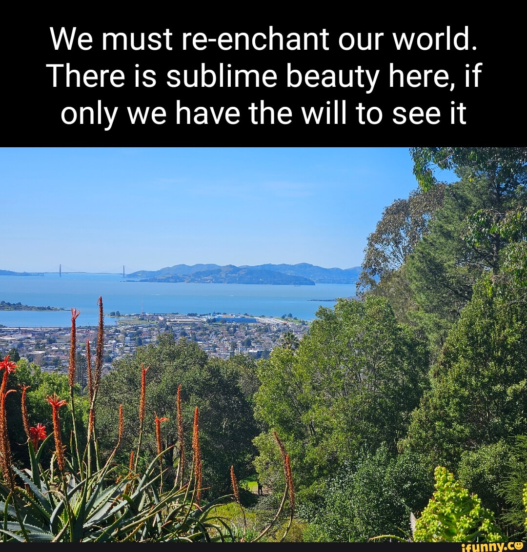 Enchant memes. Best Collection of funny Enchant pictures on iFunny