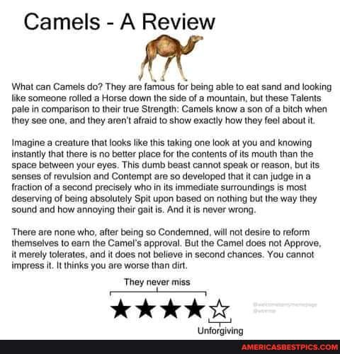 Camels - A Review What can Camels do? They are famous for being able to ...