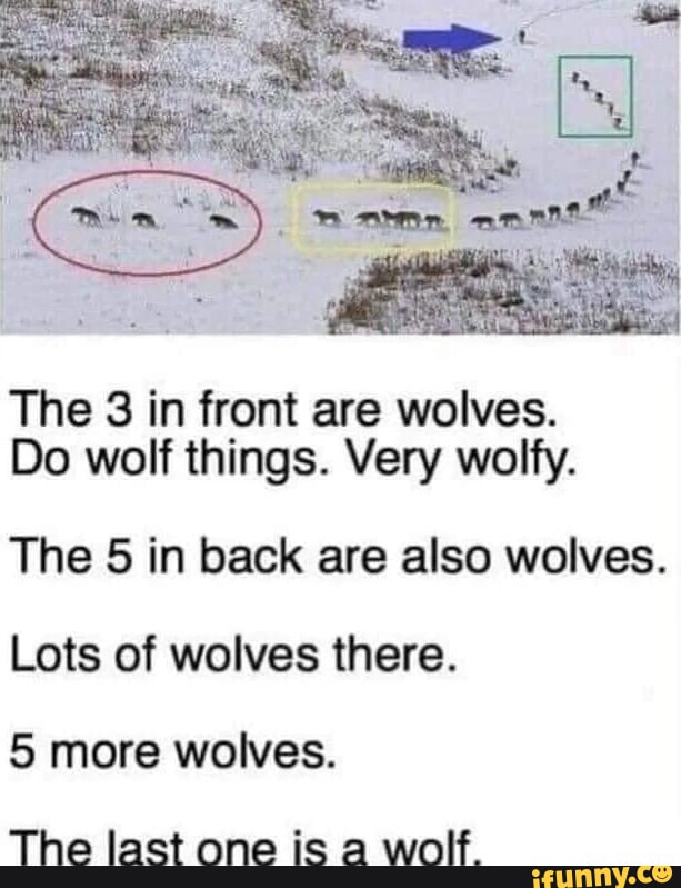 The 3 in front are wolves. Do wolf things. Very wolfy. The 5 in back ...