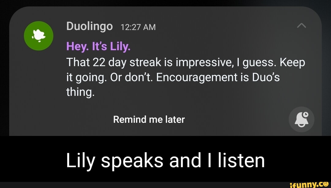 Duolingo am Hey. It's Lily. That 22 day streak is impressive, I guess ...