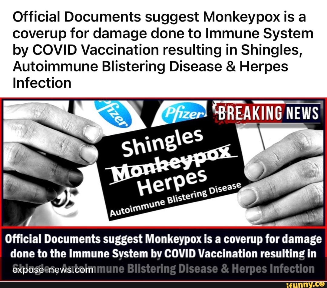 Shingles memes. Best Collection of funny Shingles pictures on iFunny