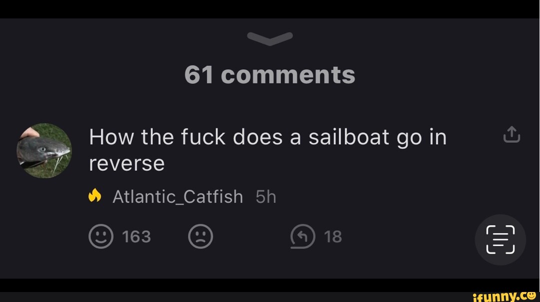 Sailboat memes. Best Collection of funny Sailboat pictures on iFunny