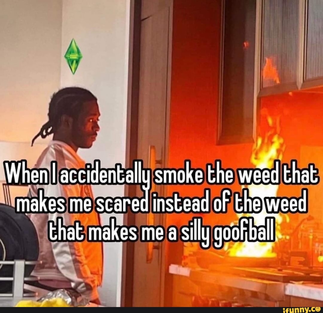 When I accidentally smoke the weed that makes me scared instead of weed ...
