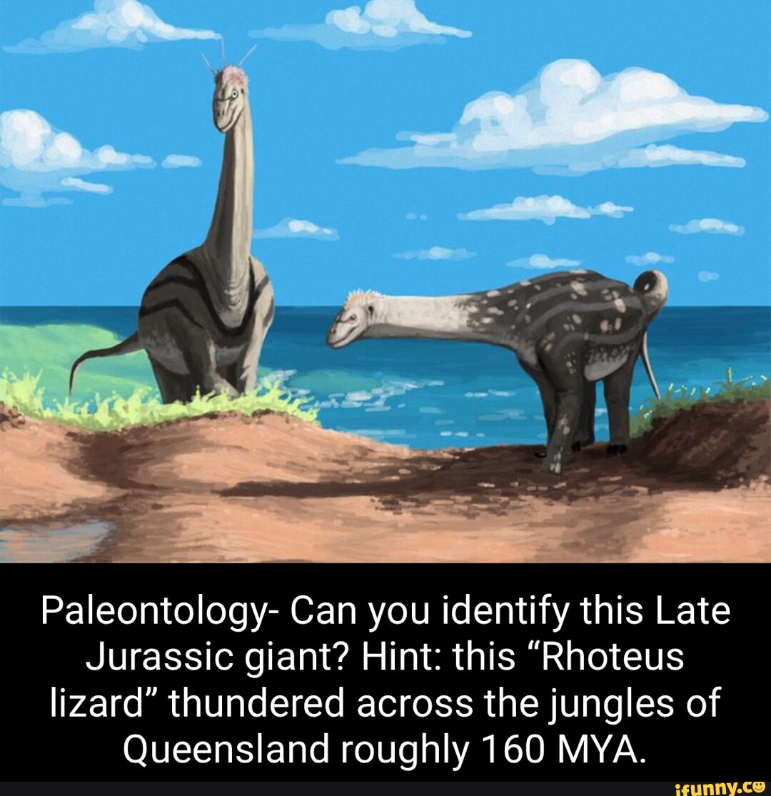 Queensland memes. Best Collection of funny Queensland pictures on iFunny