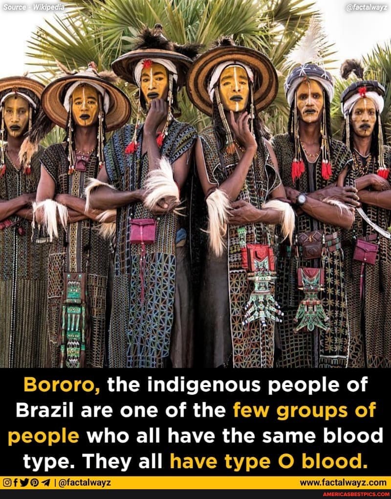 Bororo, the indigenous people of Brazil are one of the few groups of ...