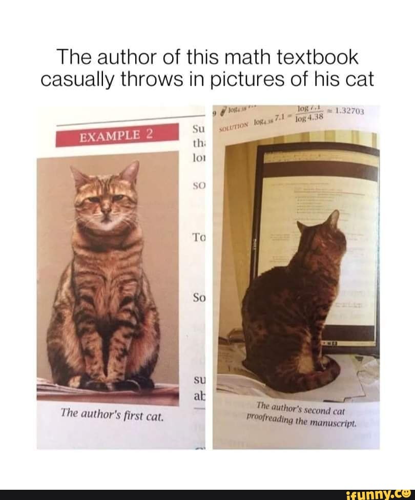 The author of this math textbook casually throws in pictures of his cat ...