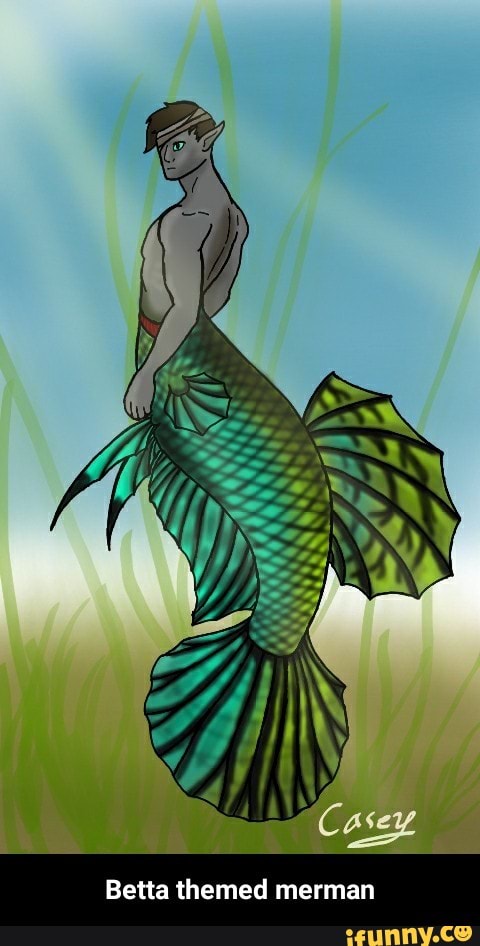 Betta themed merman - Betta themed merman - iFunny