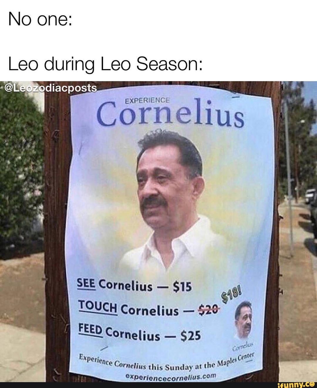 No one: Leo during Leo Season: Sezodiacposts EXPERIENGE Cornelius SEE ...