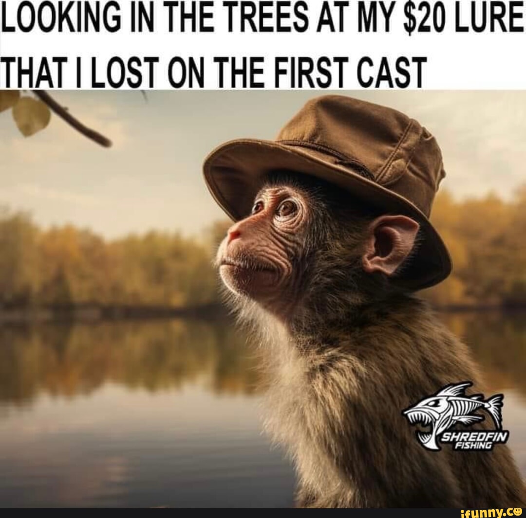 Shredfin memes. Best Collection of funny Shredfin pictures on iFunny