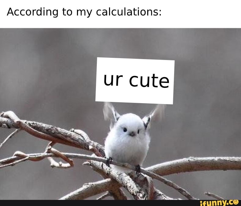 According to my calculations: ur cute - iFunny