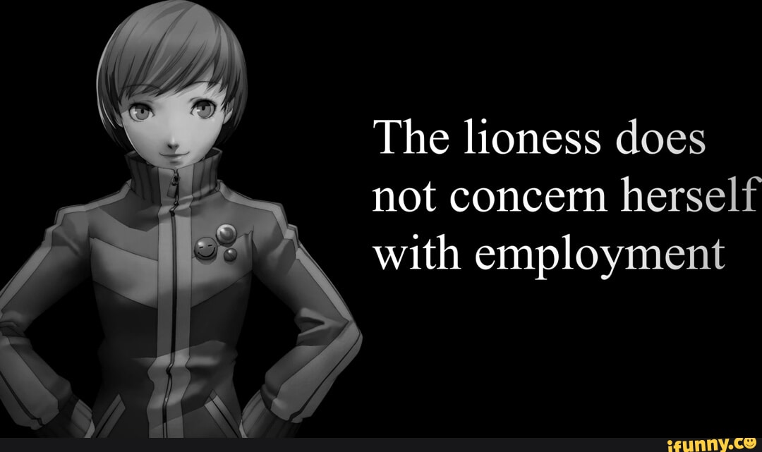 The lioness does not concern herself with employment - iFunny