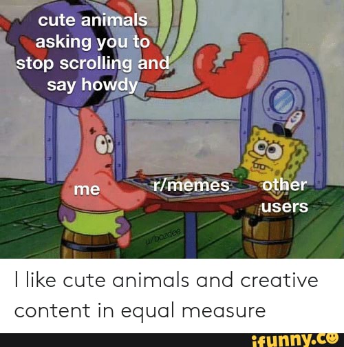 Animals Saying Stop It