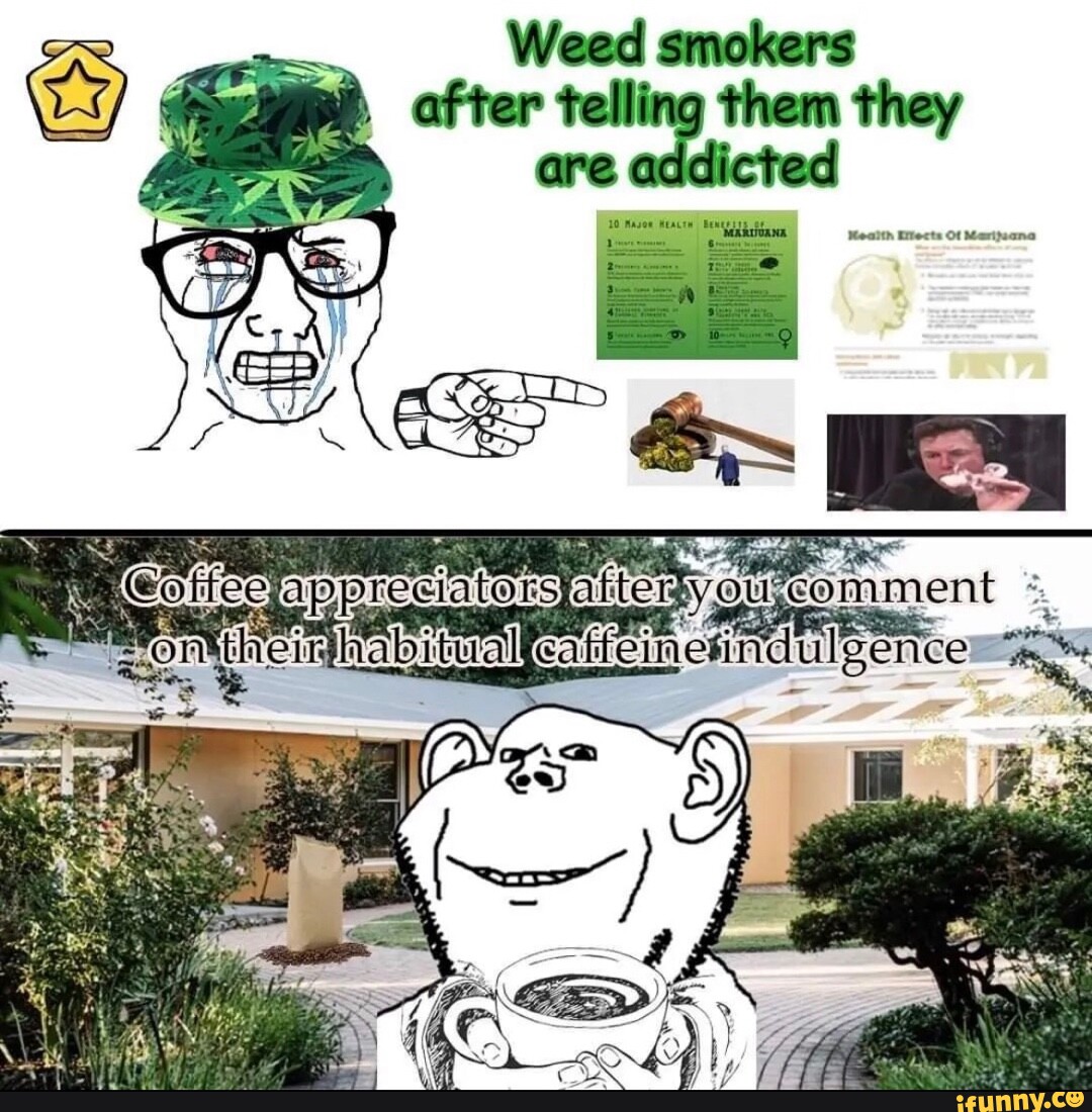 Weed smokers after telling them they are addicted - iFunny
