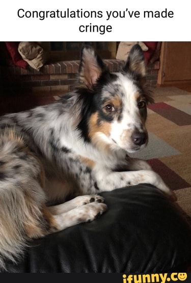 Congratulations you've made cringe - iFunny