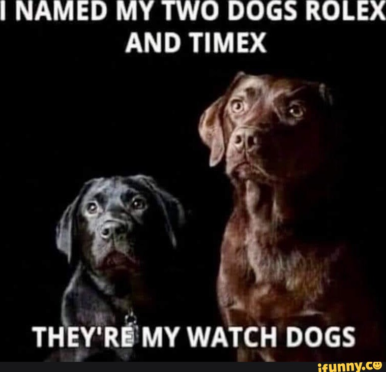 Timex memes. Best Collection of funny Timex pictures on iFunny