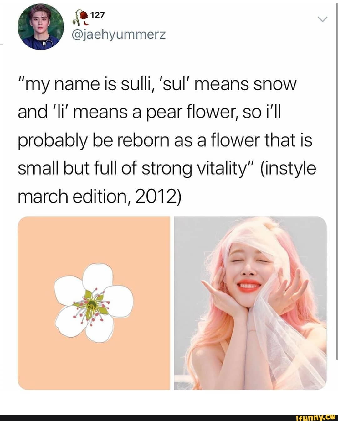 (@127 We "my name is sulli, 'sul' means snow and 'li' means a pear ...
