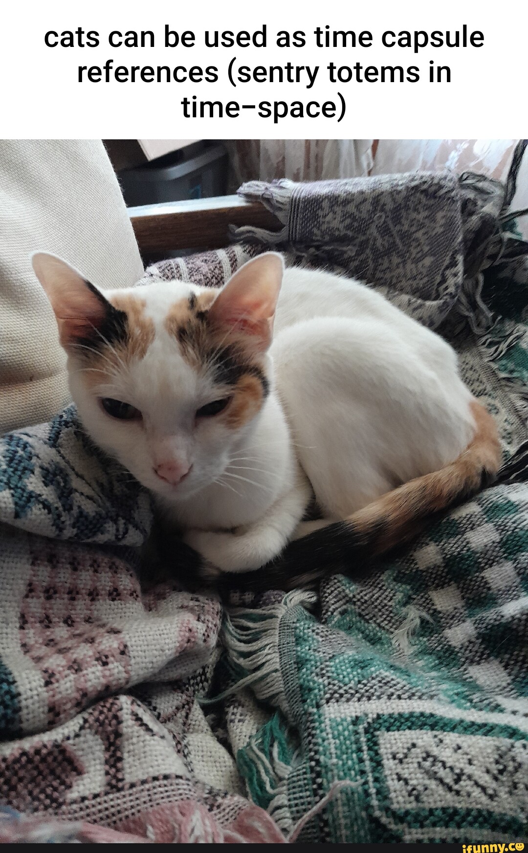 Totems memes. Best Collection of funny Totems pictures on iFunny