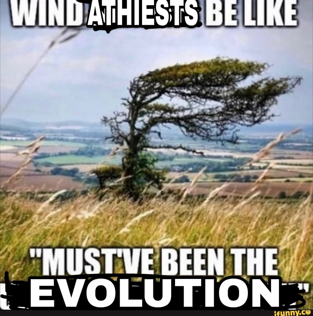 Wind memes. Best Collection of funny Wind pictures on iFunny