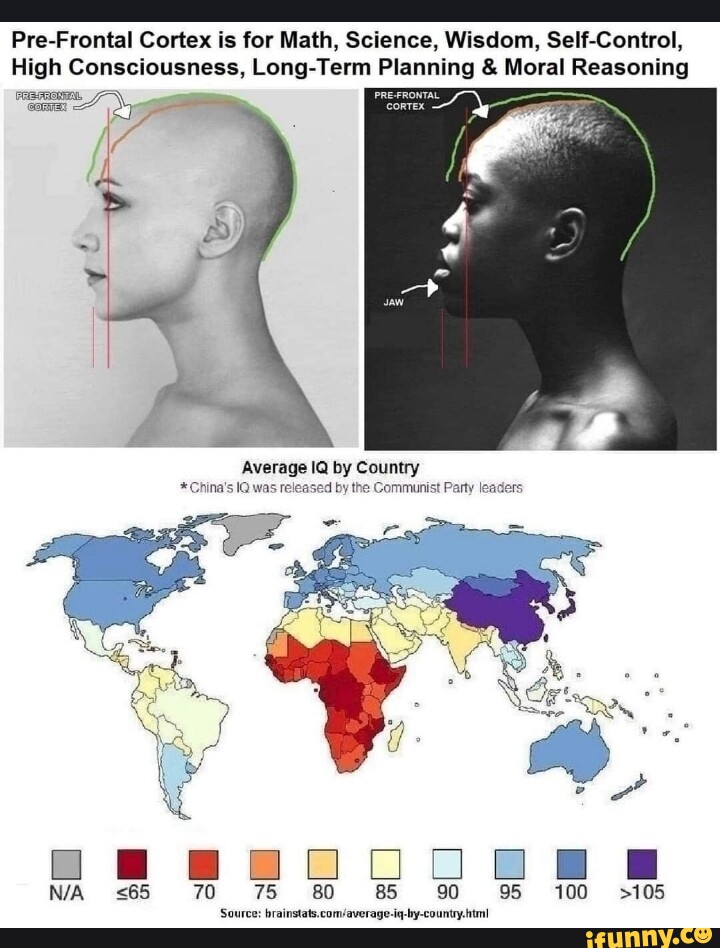Pre-Frontal Cortex is for Math, Science, Wisdom, Self-Control, High ...