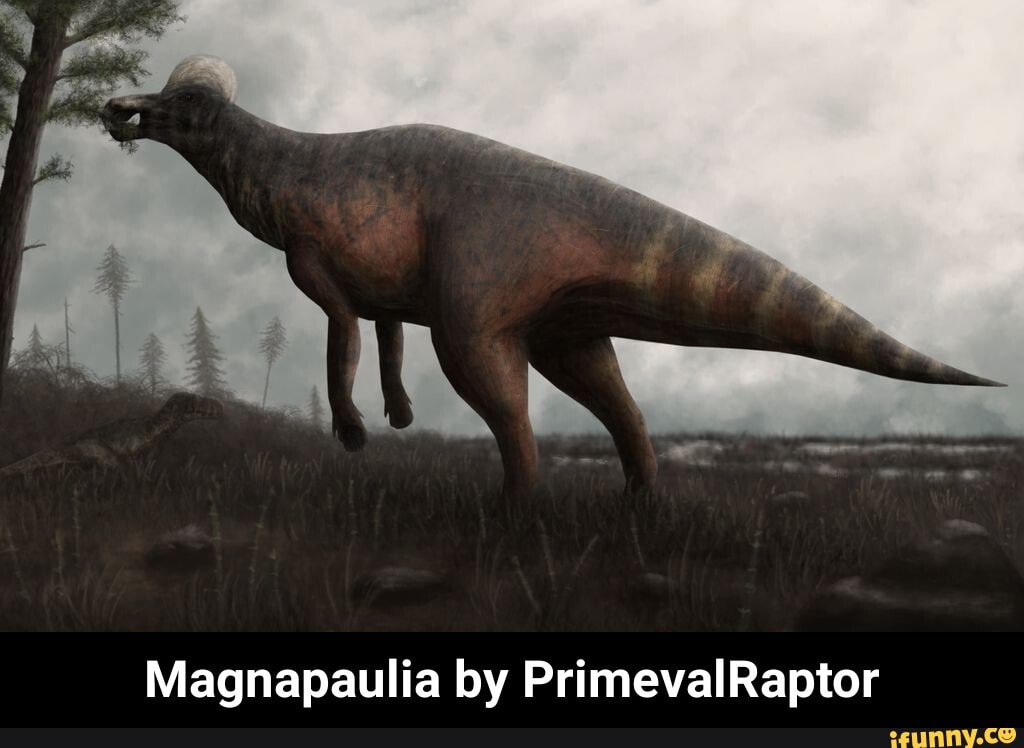 Magnapaulia by PrimevalRaptor - Magnapaulia by PrimevalRaptor - iFunny