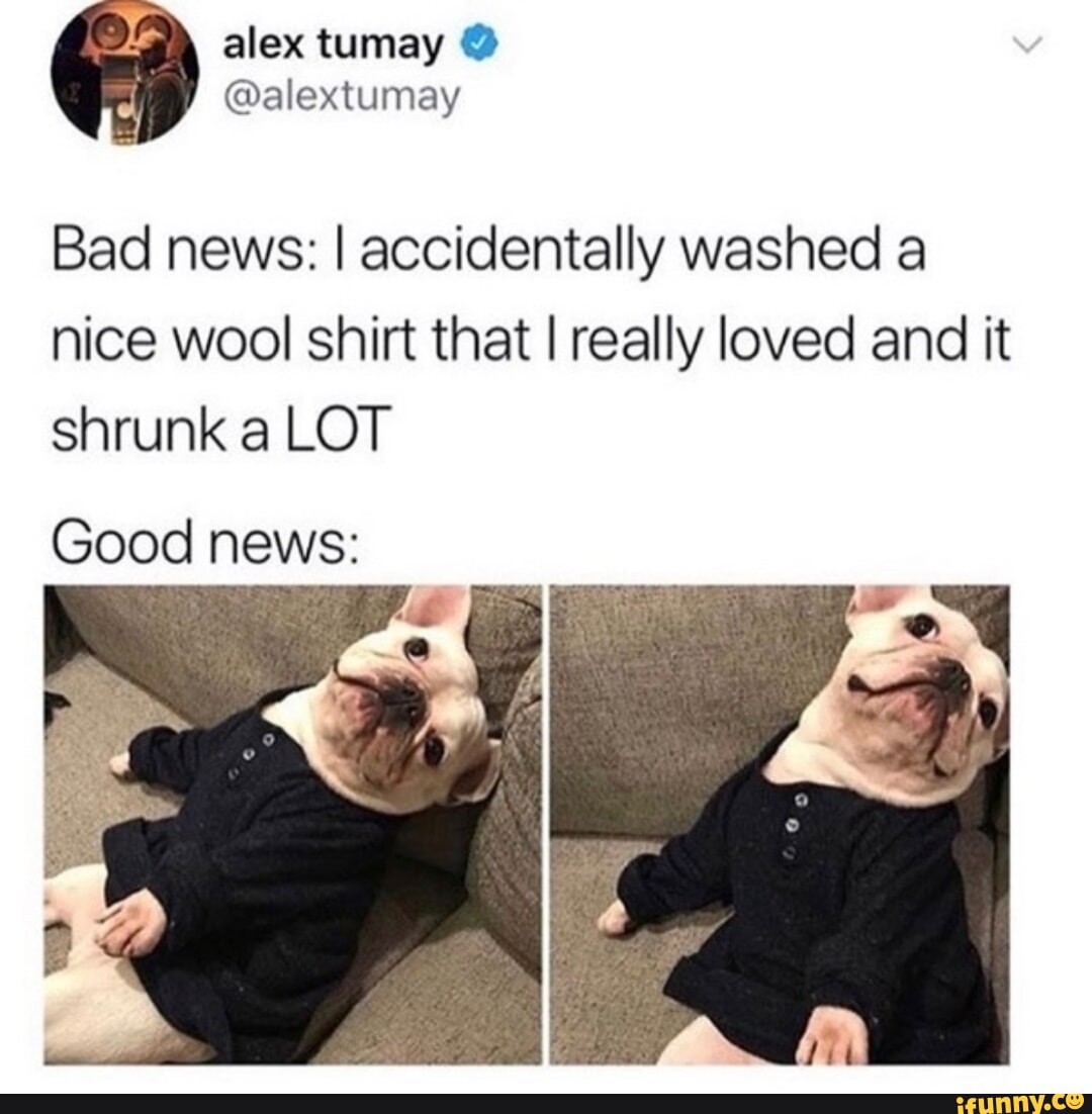 Shrunk memes. Best Collection of funny Shrunk pictures on iFunny