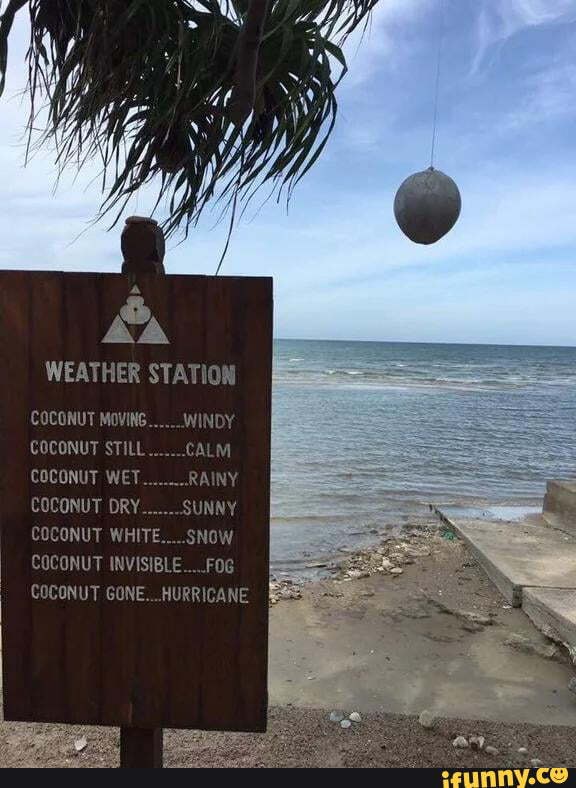 WEATHER STAT COCONUT MOVING. COCONUT STILL COCONUT WET NUT DRY COCONUT ...
