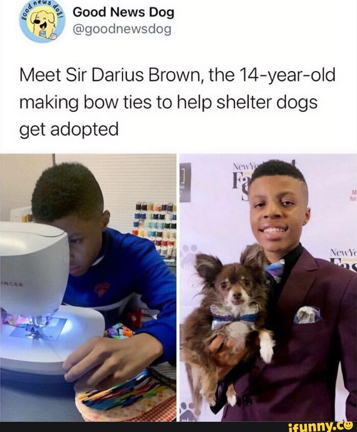 Good News Dog @goodnewsdog Meet Sir Darius Brown, the 14-year-old ...