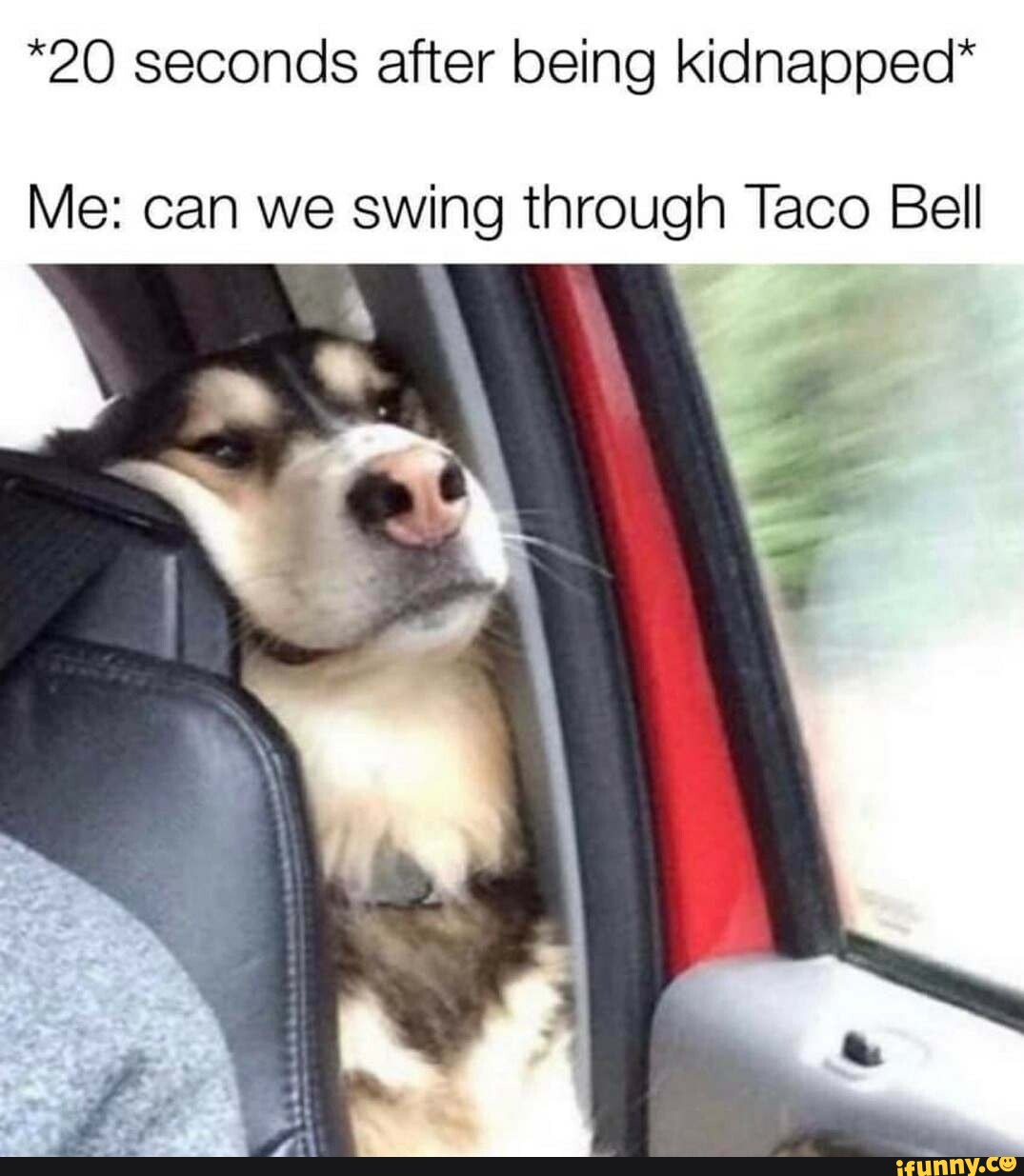 *20 seconds after being kidnapped* Me: can we swing through Taco Bell ...