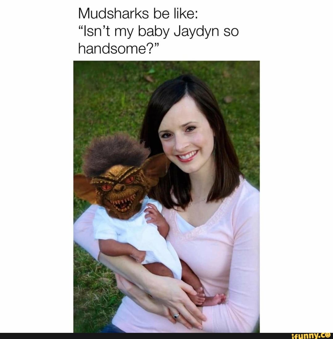Mudsharks memes. Best Collection of funny Mudsharks pictures on iFunny
