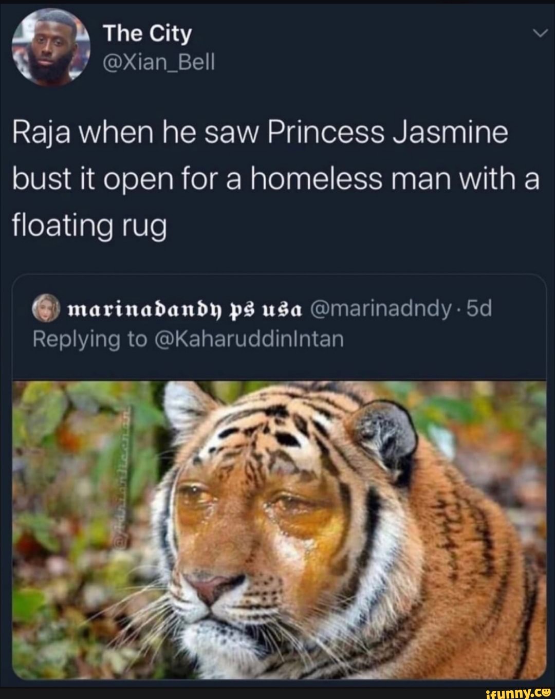 Homeless Tiger
