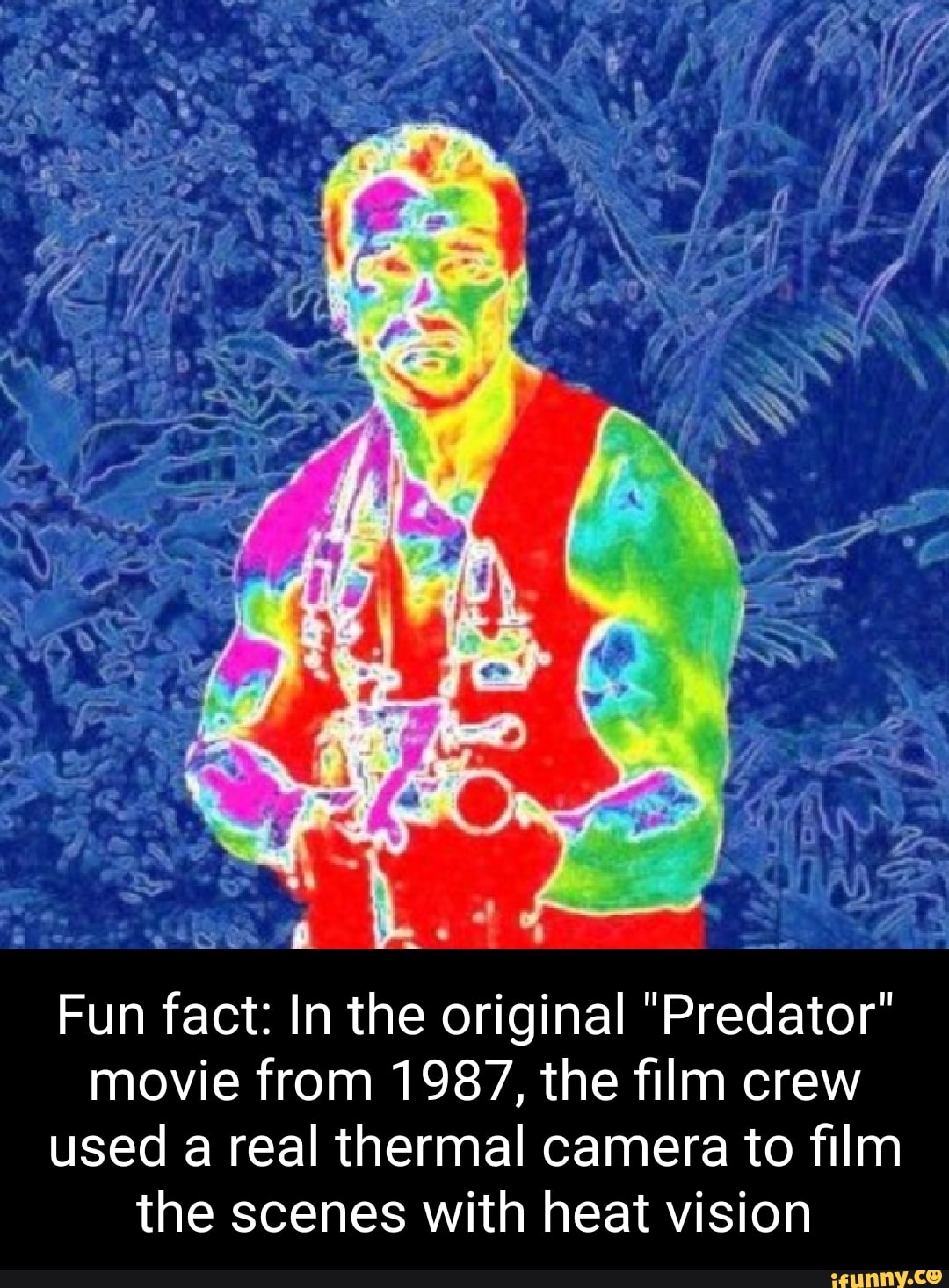 Are you dog person or spider person??? - )