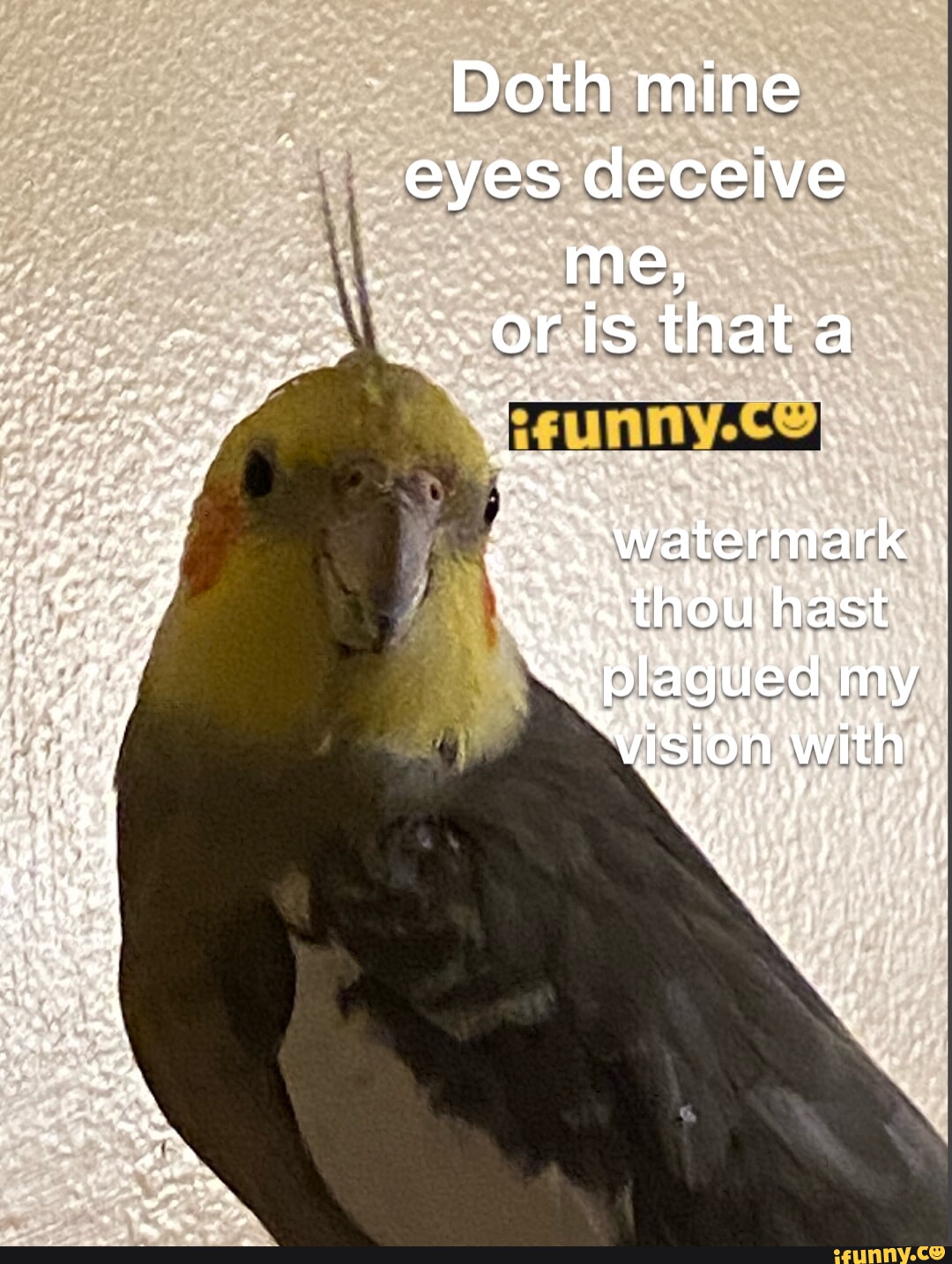 Dimy memes. Best Collection of funny Dimy pictures on iFunny