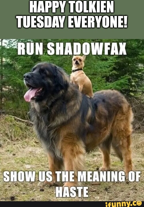 Shadowfax memes. Best Collection of funny Shadowfax pictures on iFunny